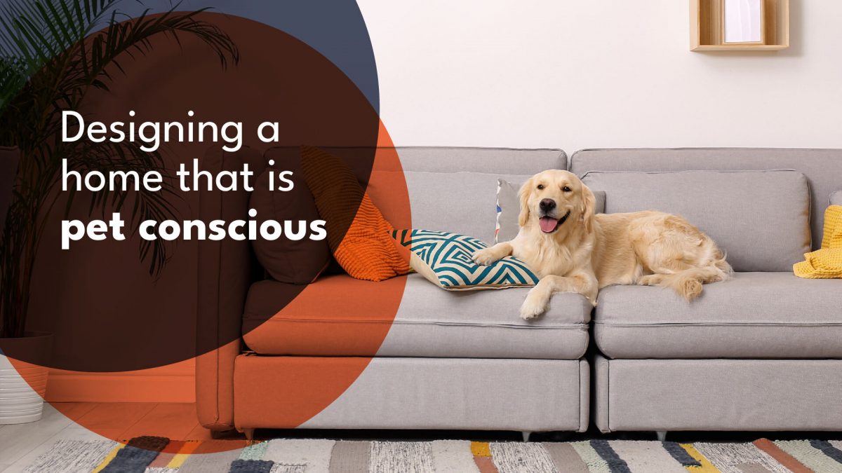 5 Tips to Design a Home When You Have a Pet